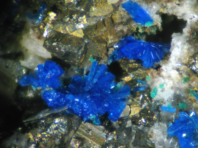 Linarite gallery