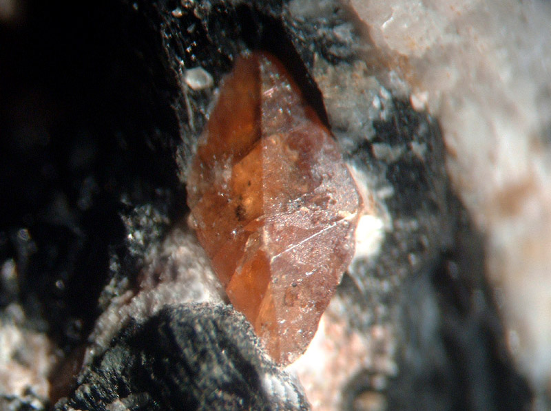 Does anybody know anything about the Titanite (aka Prowling) Demons ...