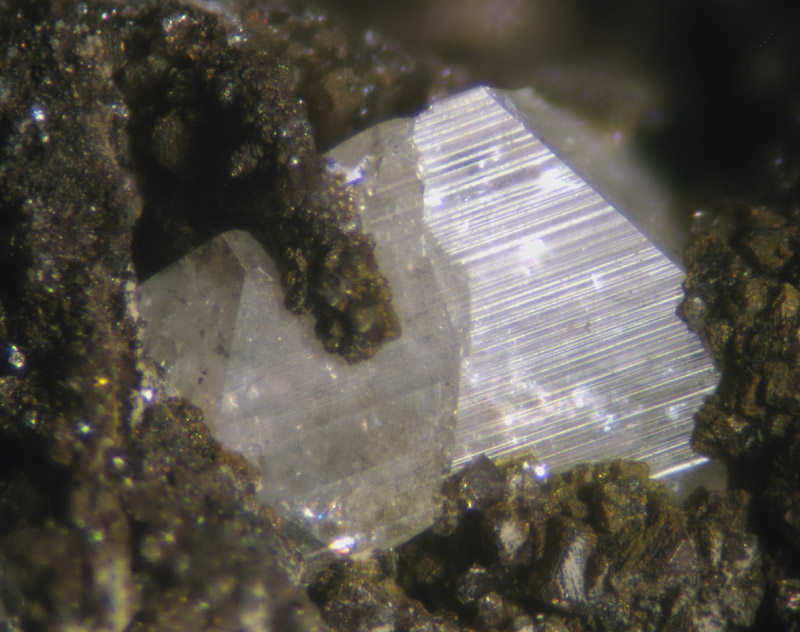 Wardite
